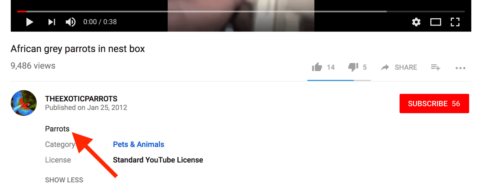 YouTube Video Description: 9 Pro-Tips & Best Practices