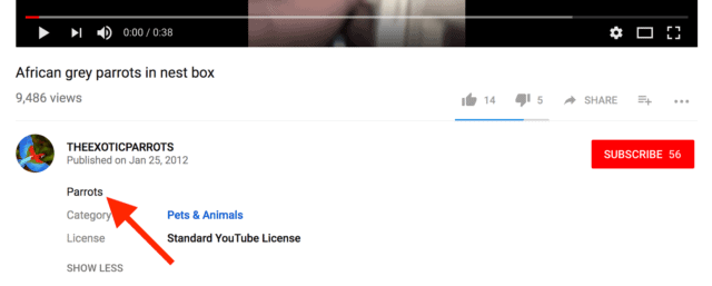 YouTube Video Description: 9 Pro-Tips & Best Practices