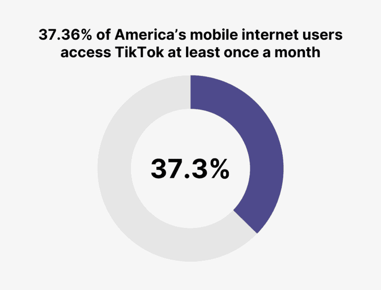 TikTok User Statistics (2022)