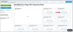An In-Depth Guide To Raven Tools