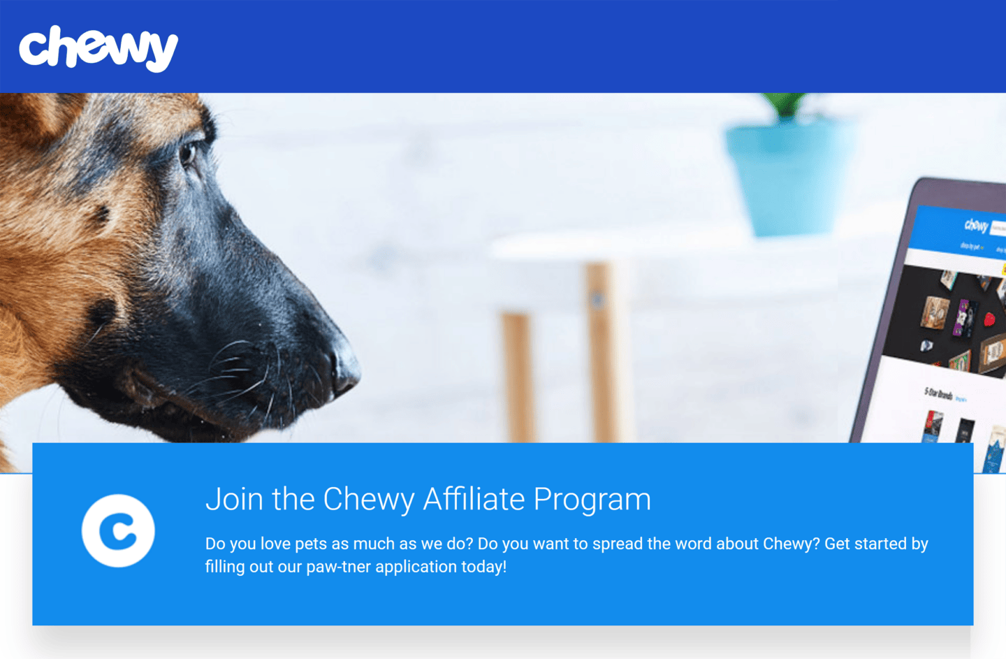 14 Best Pet Affiliate Programs in 2025