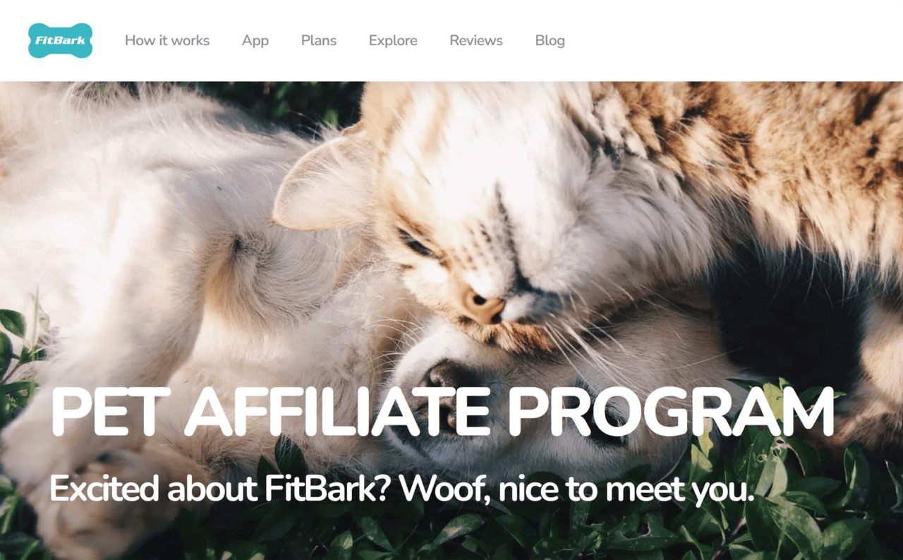 14 Best Pet Affiliate Programs in 2025