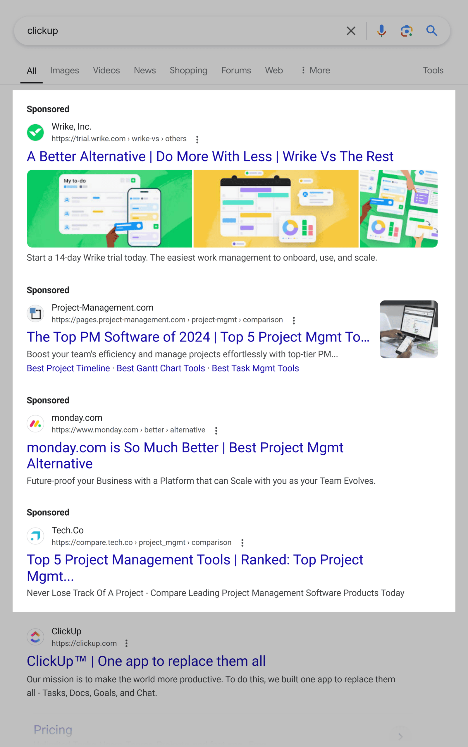 Search Terms: What They Are and How to Use Them