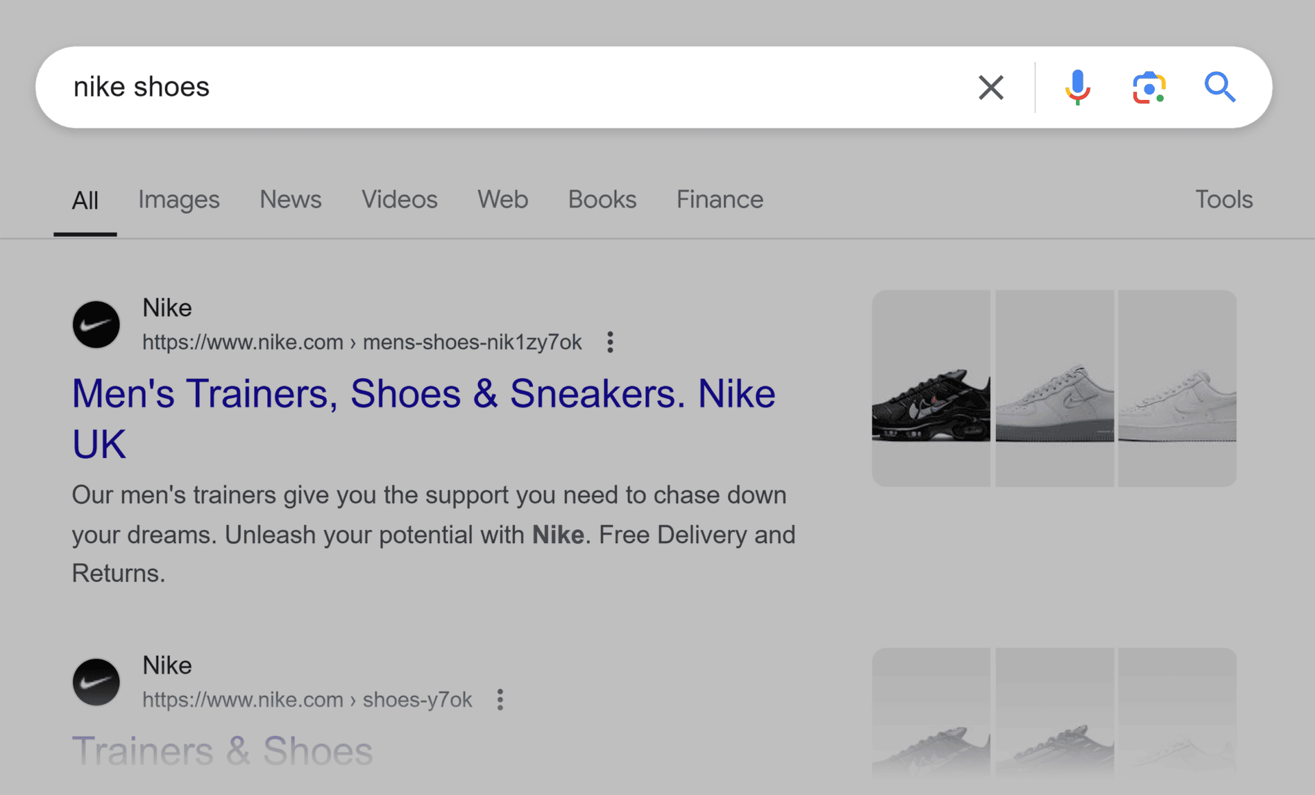 Search Terms: What They Are and How to Use Them