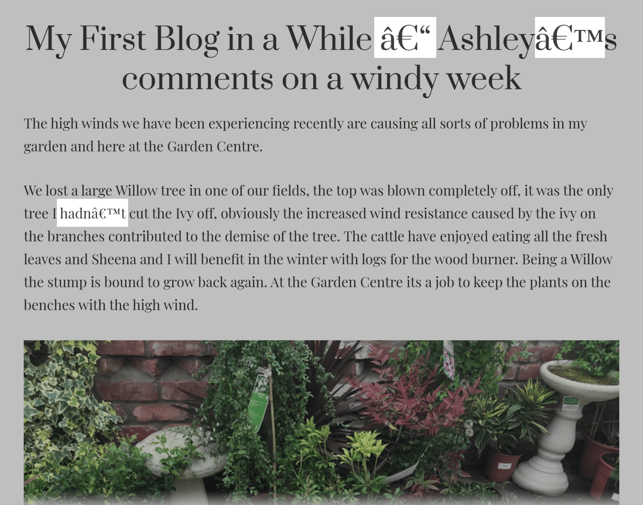 Meta Tags: What They Are & How to Use Them to Boost Your SEO