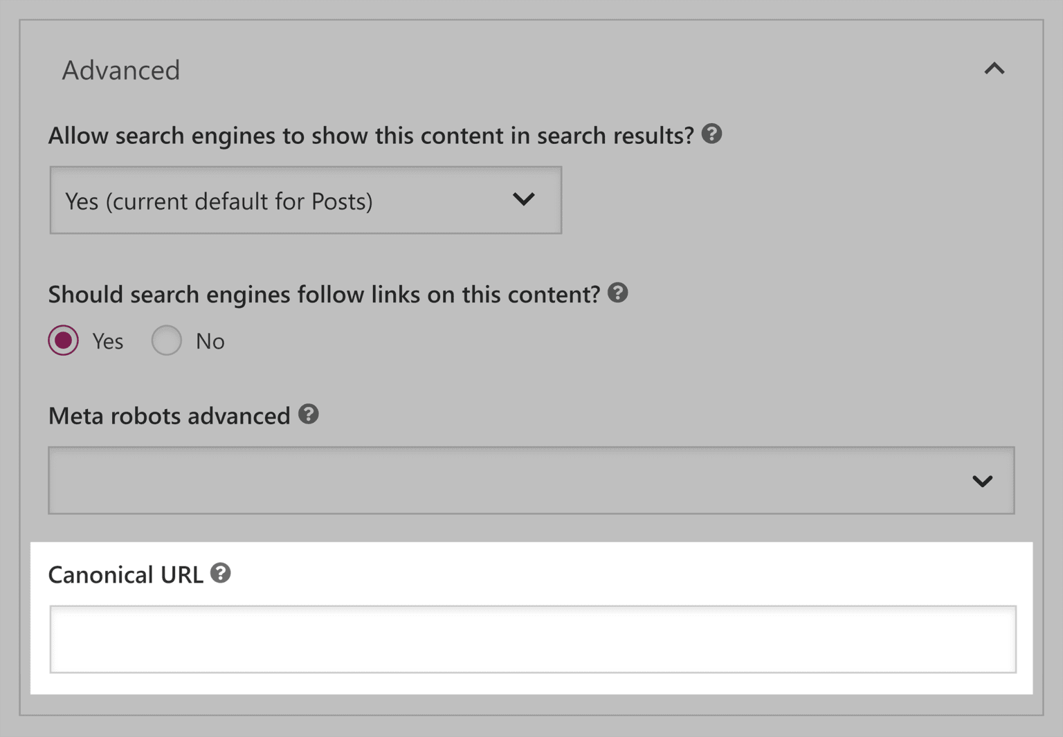 Canonical Tags for SEO: How to Fix Duplicate Content URLs
